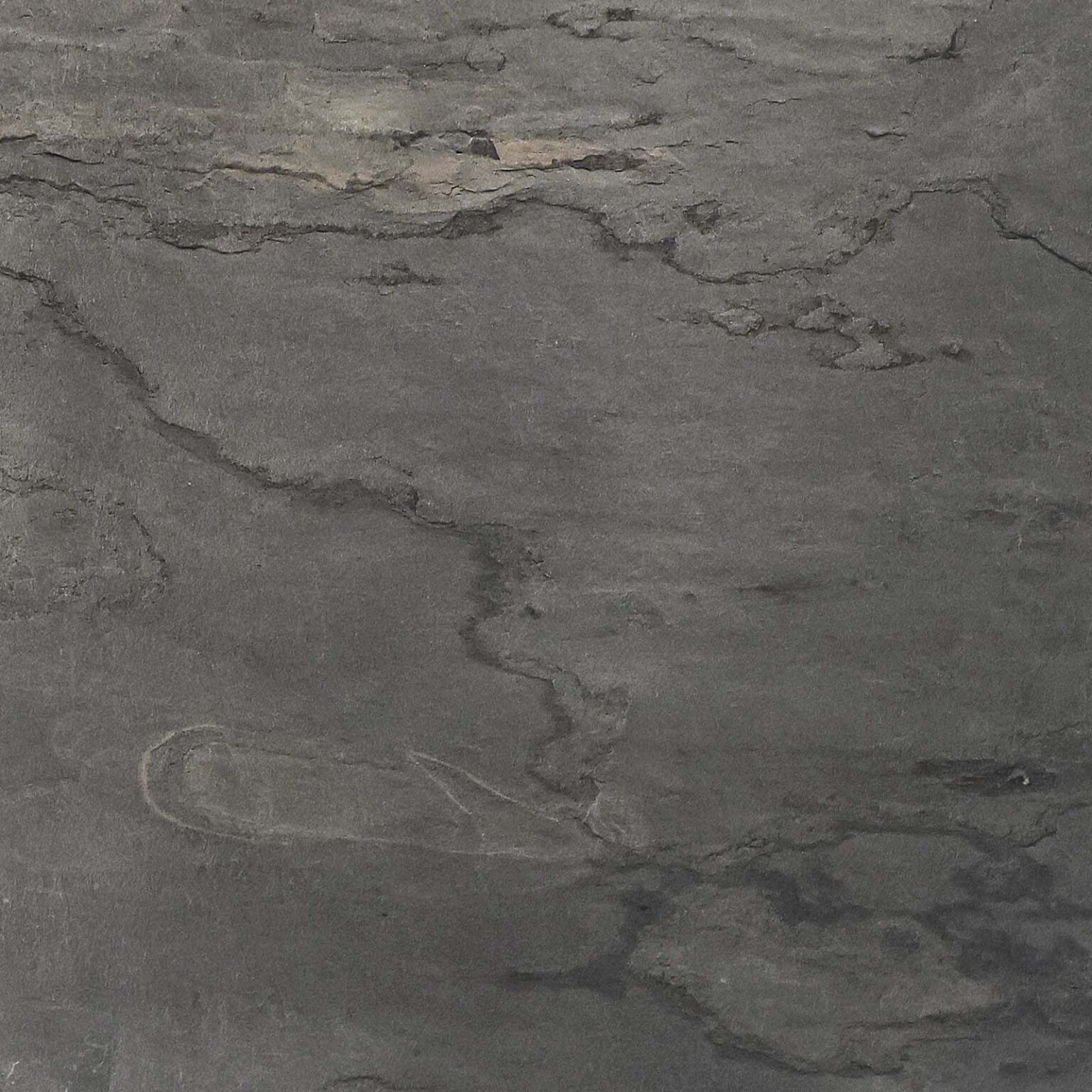 Native Gold - Casadenza™