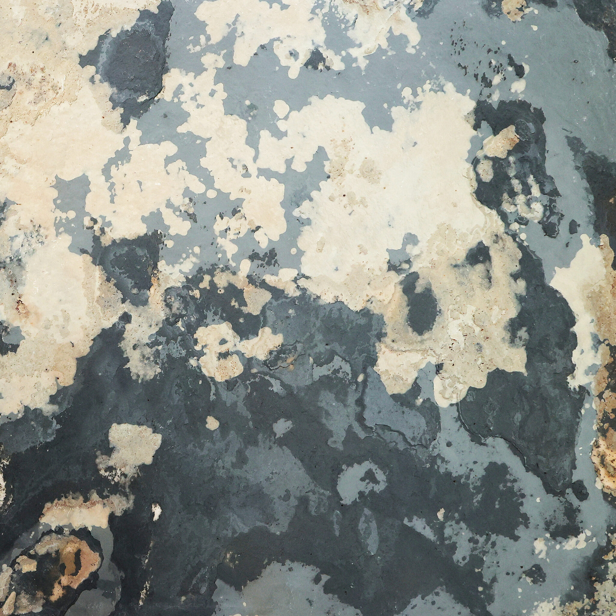 Rustic Autumn - Casadenza™